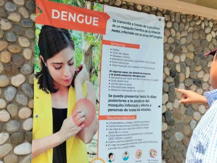Consejos del IMSS para prevenir el dengue en época de lluvias